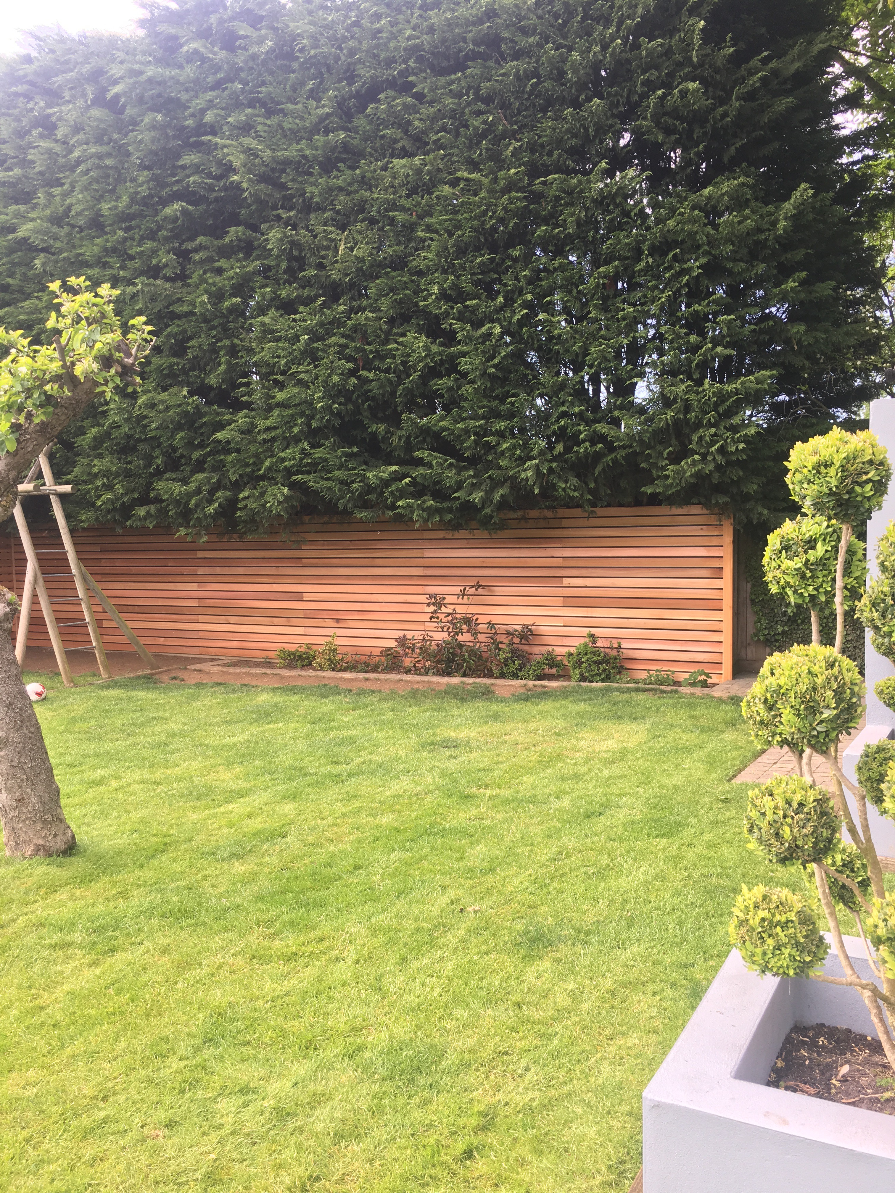 Western Red Cedar | Cedar Fencing supplier